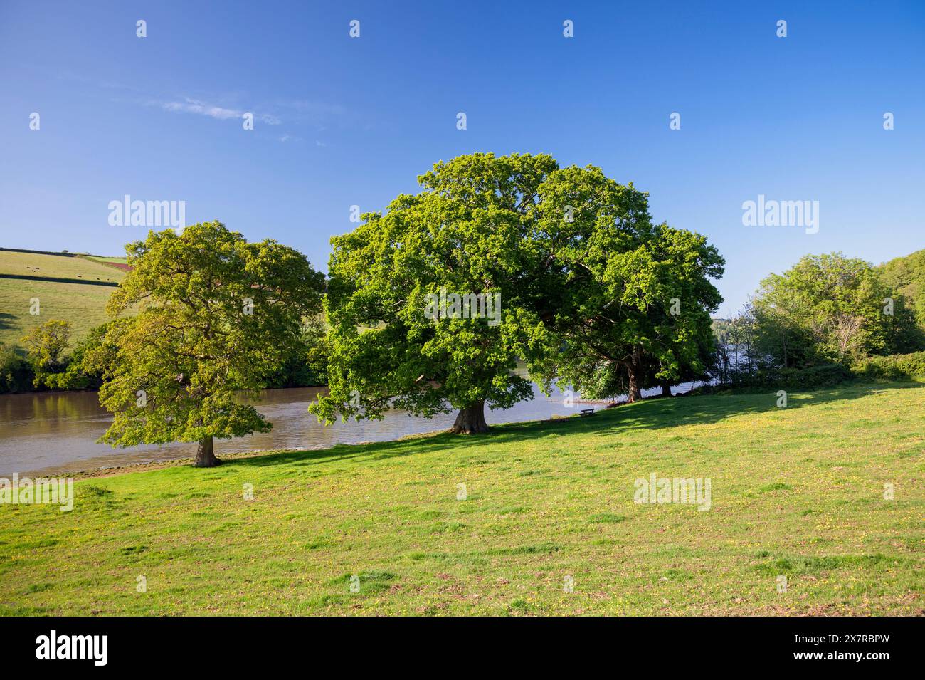 England, Devon, near Tuckenhay, The Dart Valley showing Bow Creek with ...
