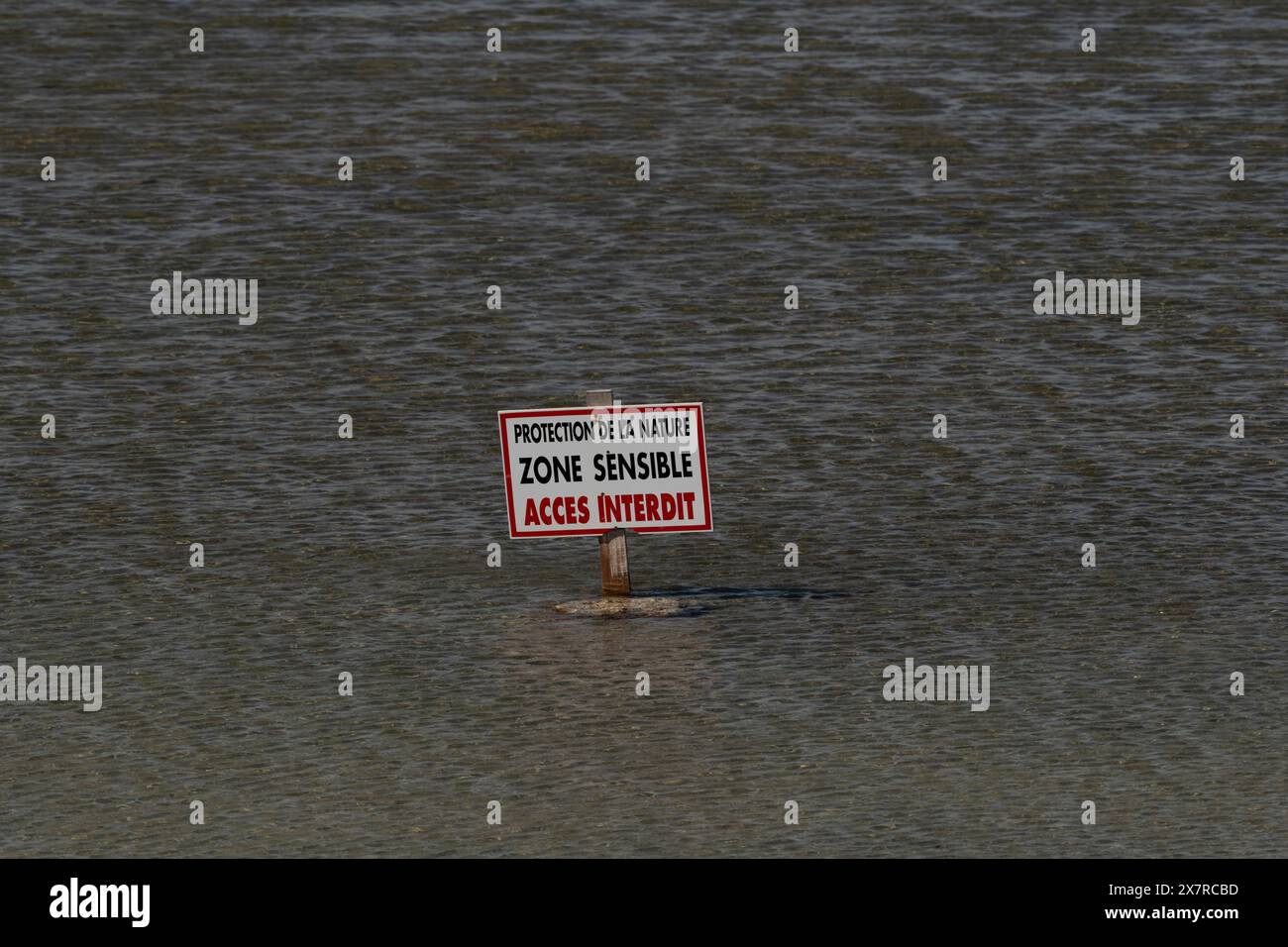French sign in salt marsh states 'protection of nature, sensitive area ...
