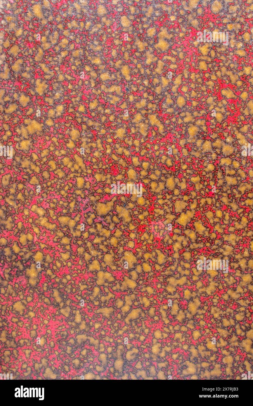 Marbled book endpaper from 1886 book. An example of old decorative art ...