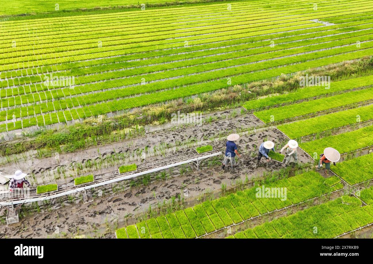 (240521) -- CHENGDU, May 21, 2024 (Xinhua) -- An aerial drone photo ...