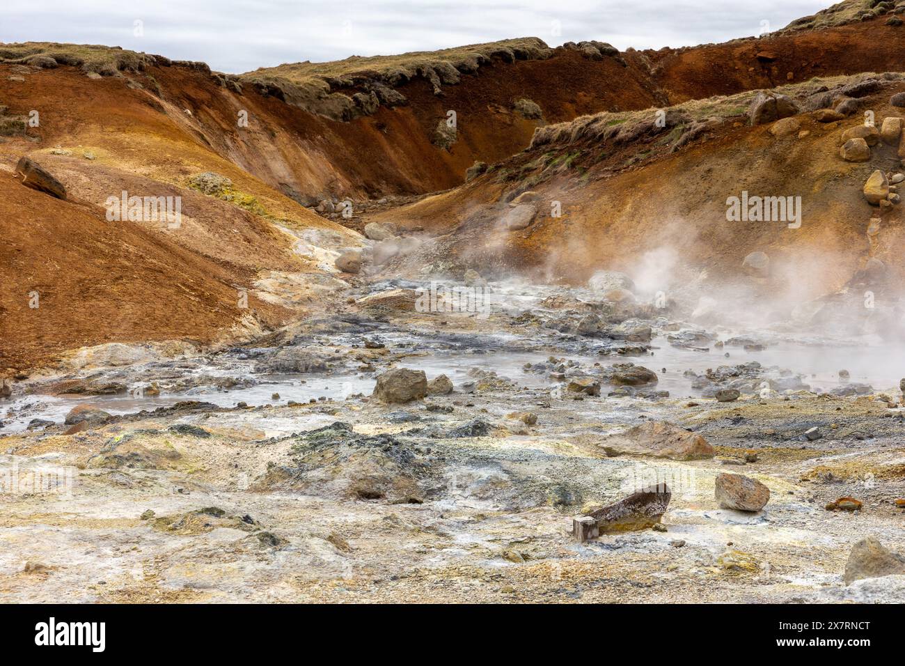 Seltun Geothermal Area in Krysuvik, landscape with steaming hot springs ...