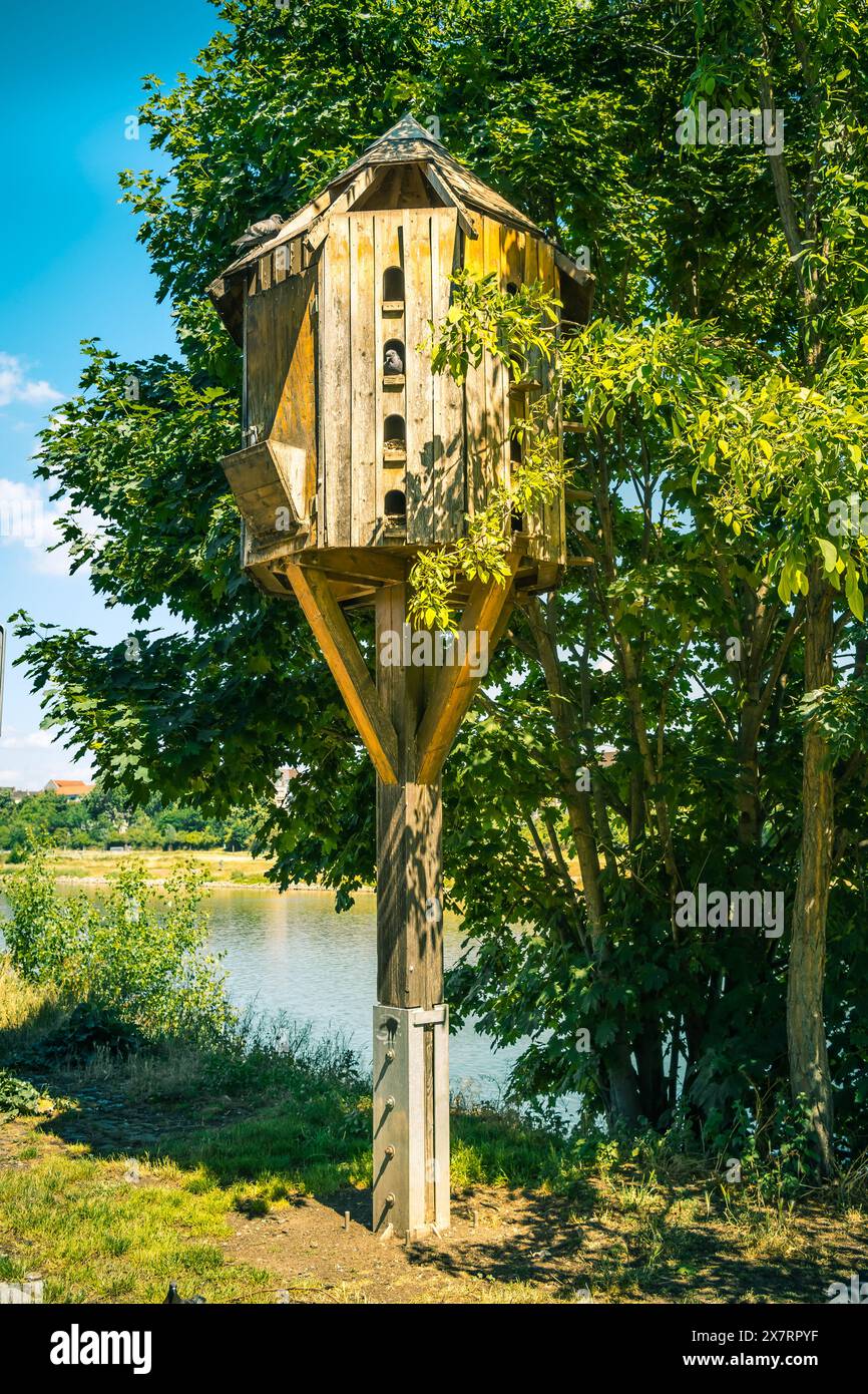 Wildlife scene in public park hi-res stock photography and images - Alamy