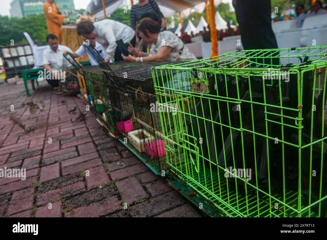 Medan, Indonesia. 19th May, 2024. The Buddhists were seen together ...