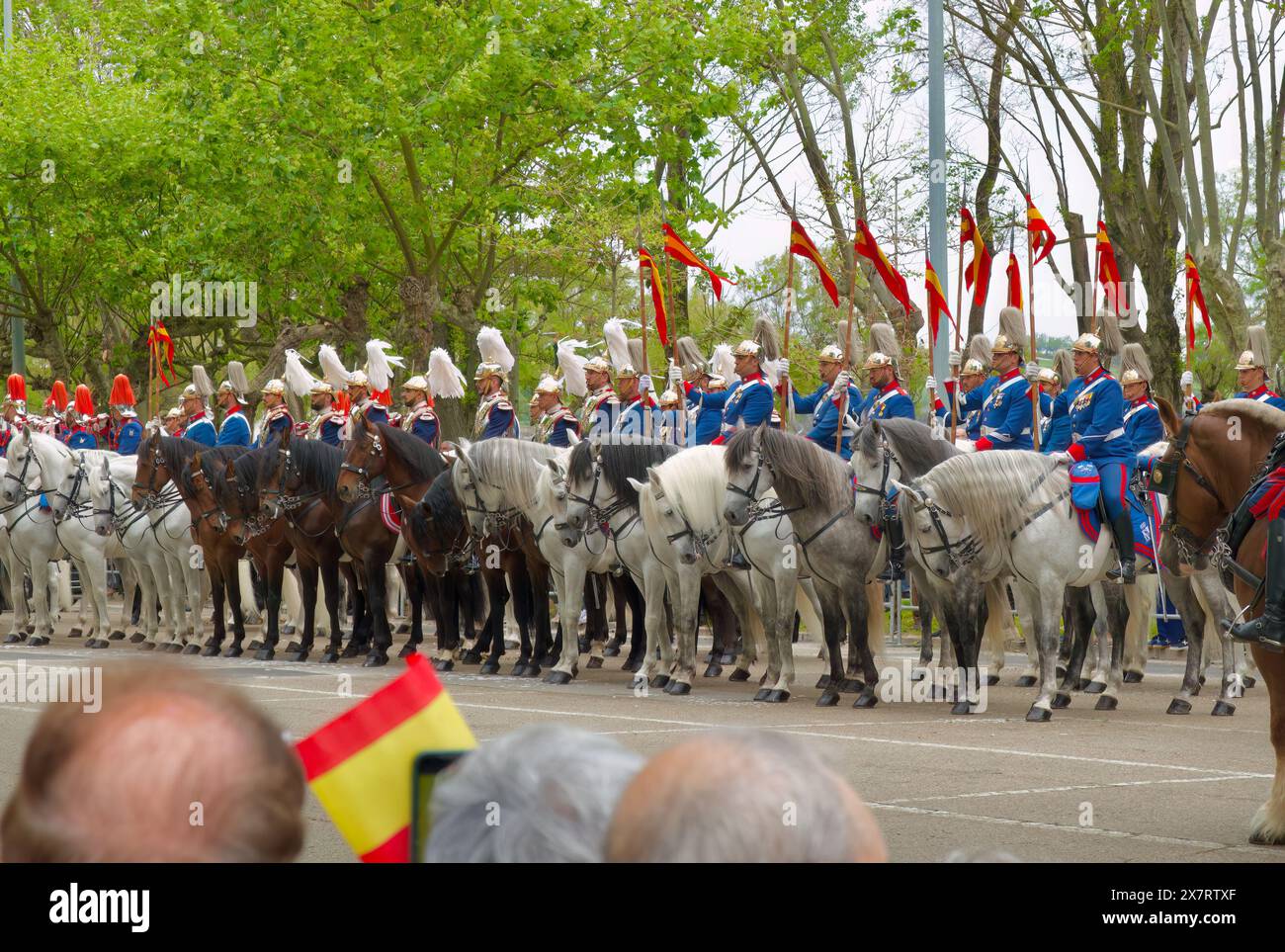 Military display of the Royal Guard in dress uniform on horseback ...