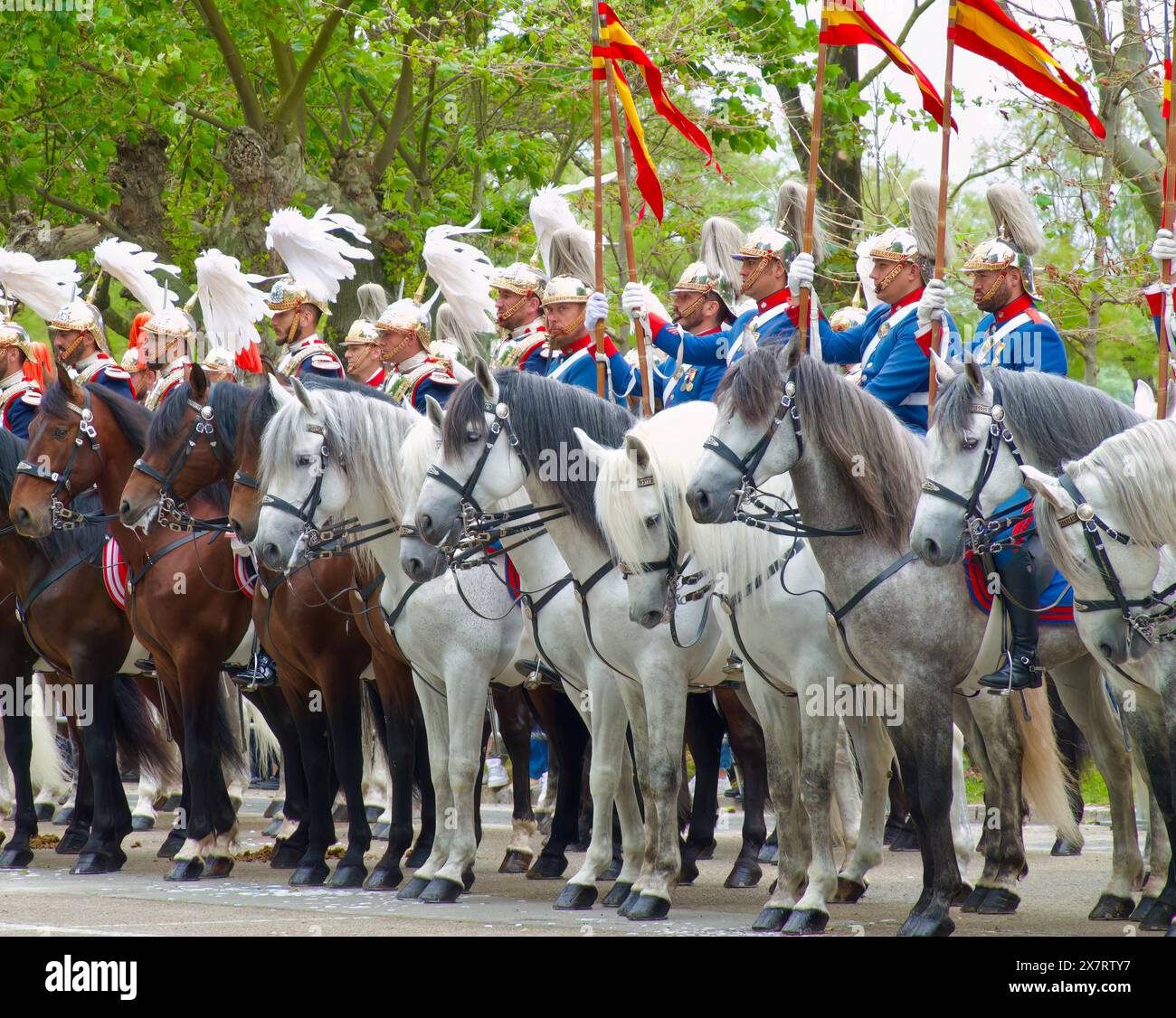 Military display of the Royal Guard in dress uniform on horseback ...