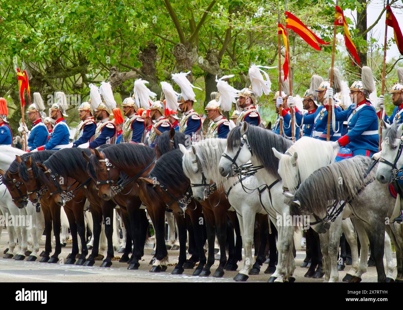 Military display of the Royal Guard in dress uniform on horseback ...