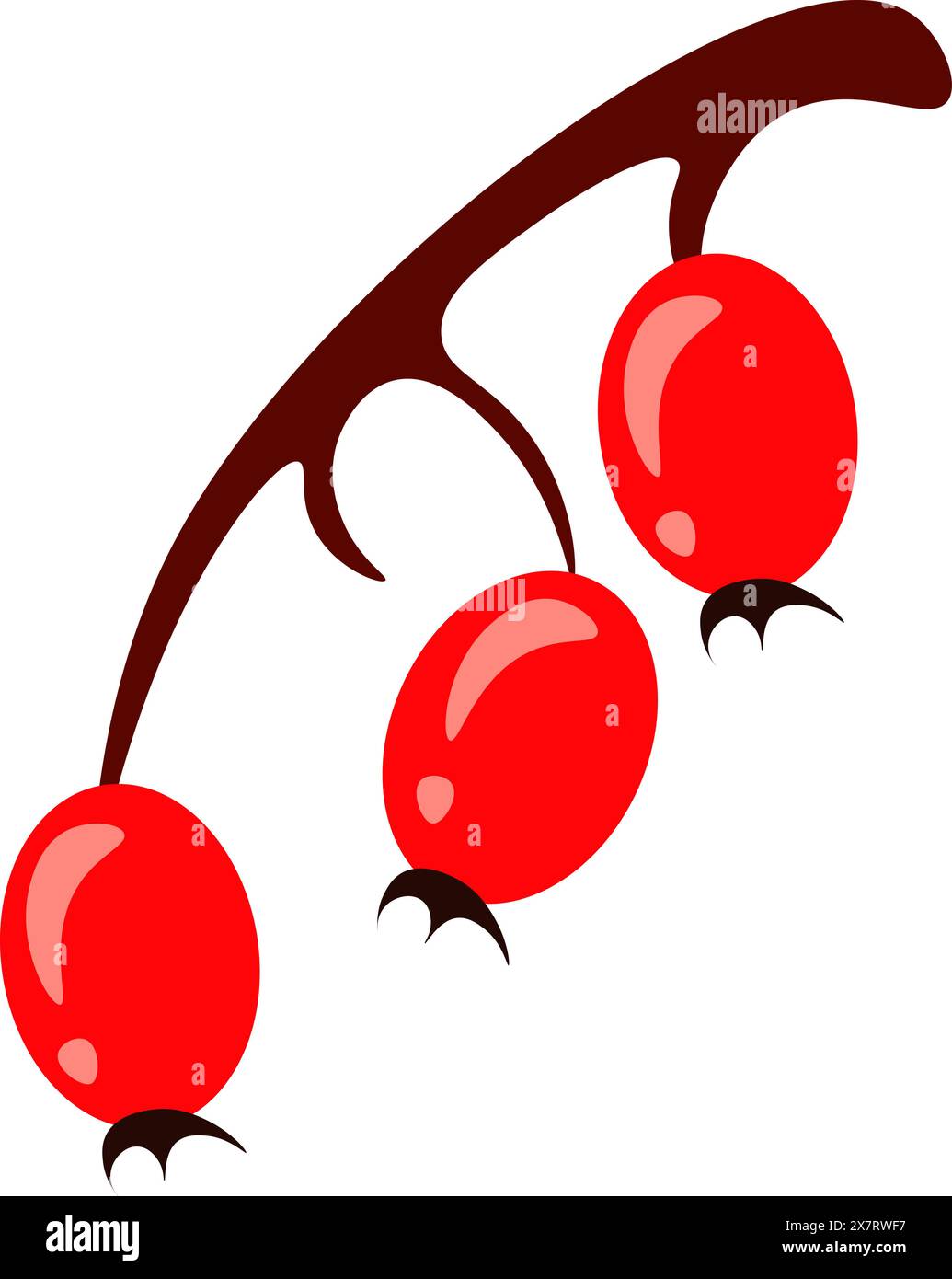 Branch with three cherries Stock Vector Image & Art - Alamy