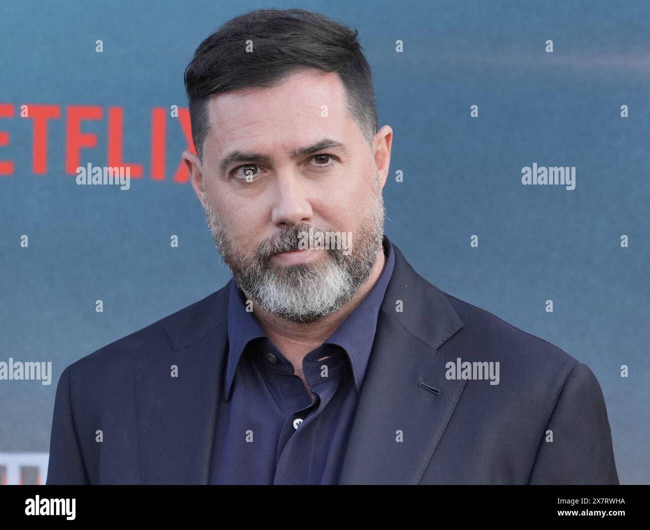 Los Angeles, USA. 20th May, 2024. Brad Peyton arrives at the Netflix's ...