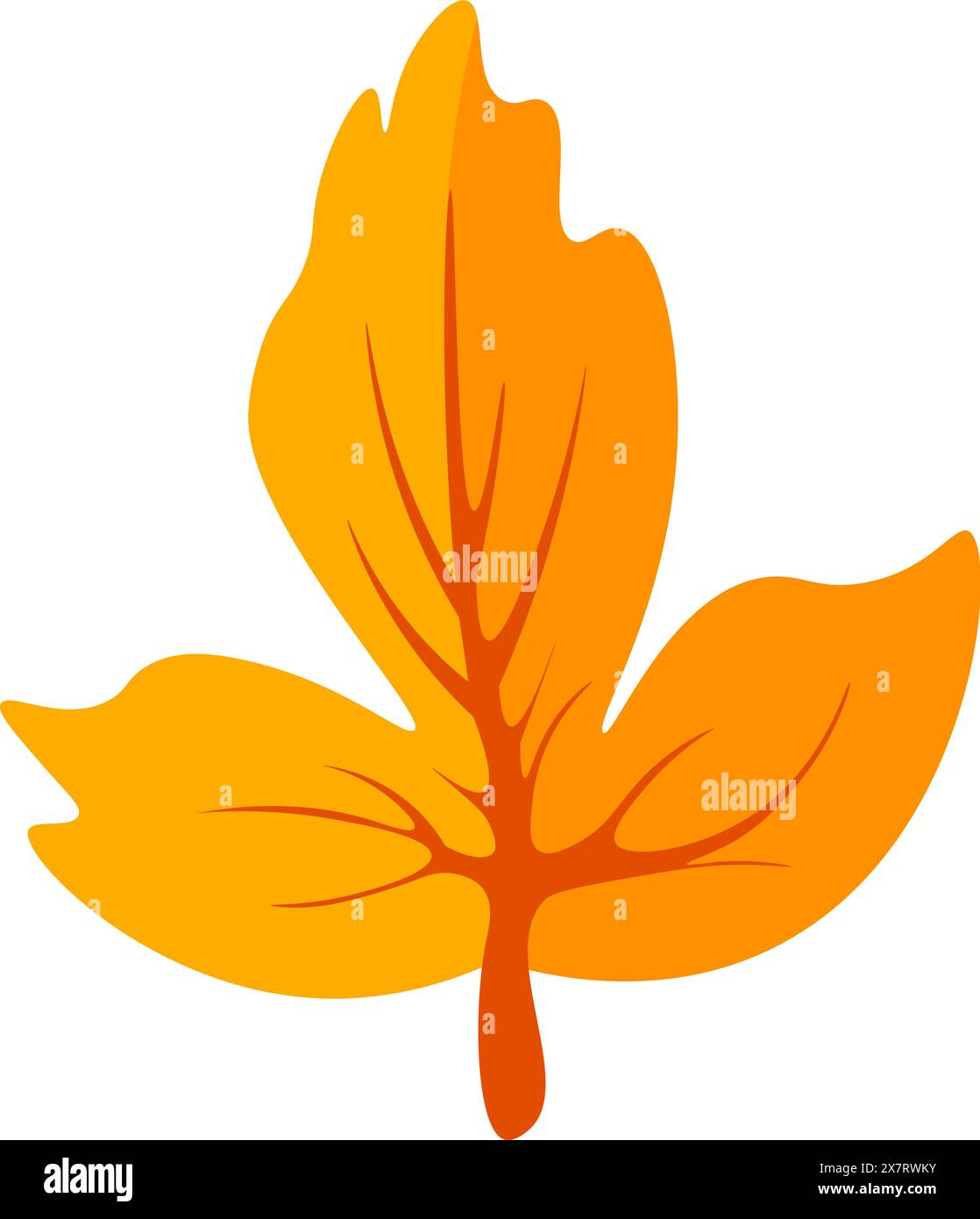 A single orange leaf stands out against a plain white background ...