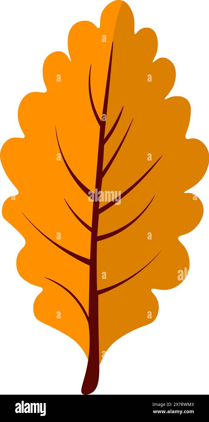 Single autumn leaf on white background Stock Vector Image & Art - Alamy