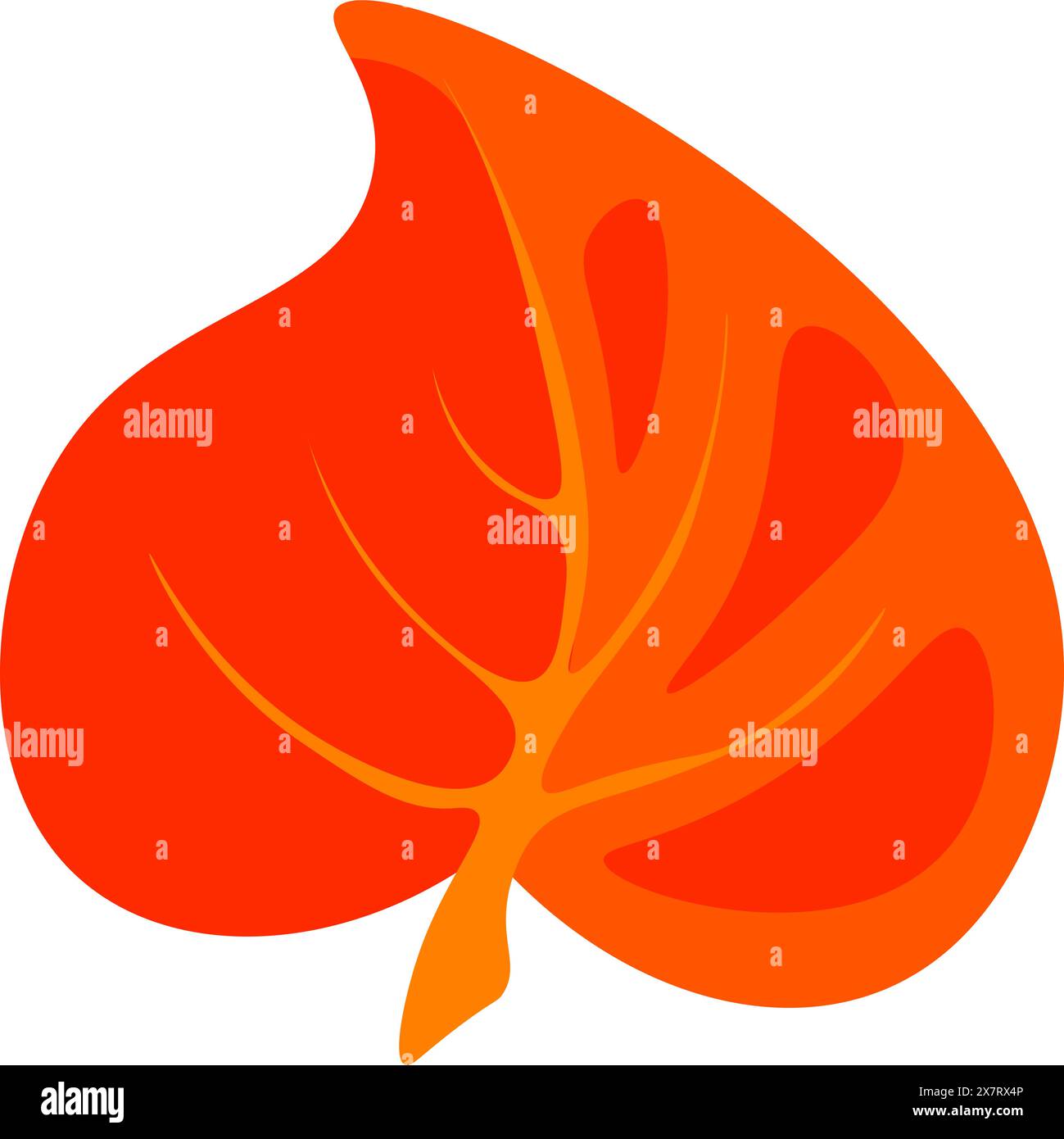 Orange leaf on white background Stock Vector Image & Art - Alamy