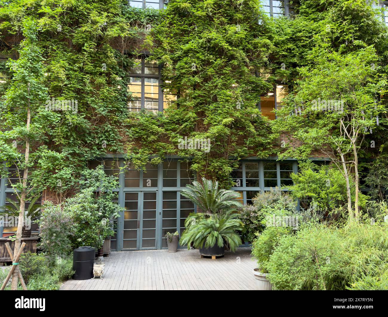 Landscaping of urban public spaces with different potted plants ...