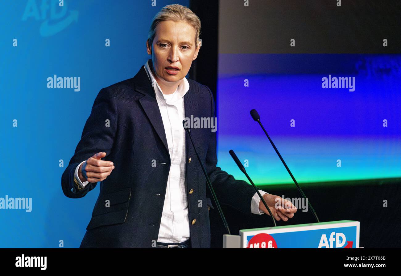 Afd bundesprecher hi-res stock photography and images - Alamy