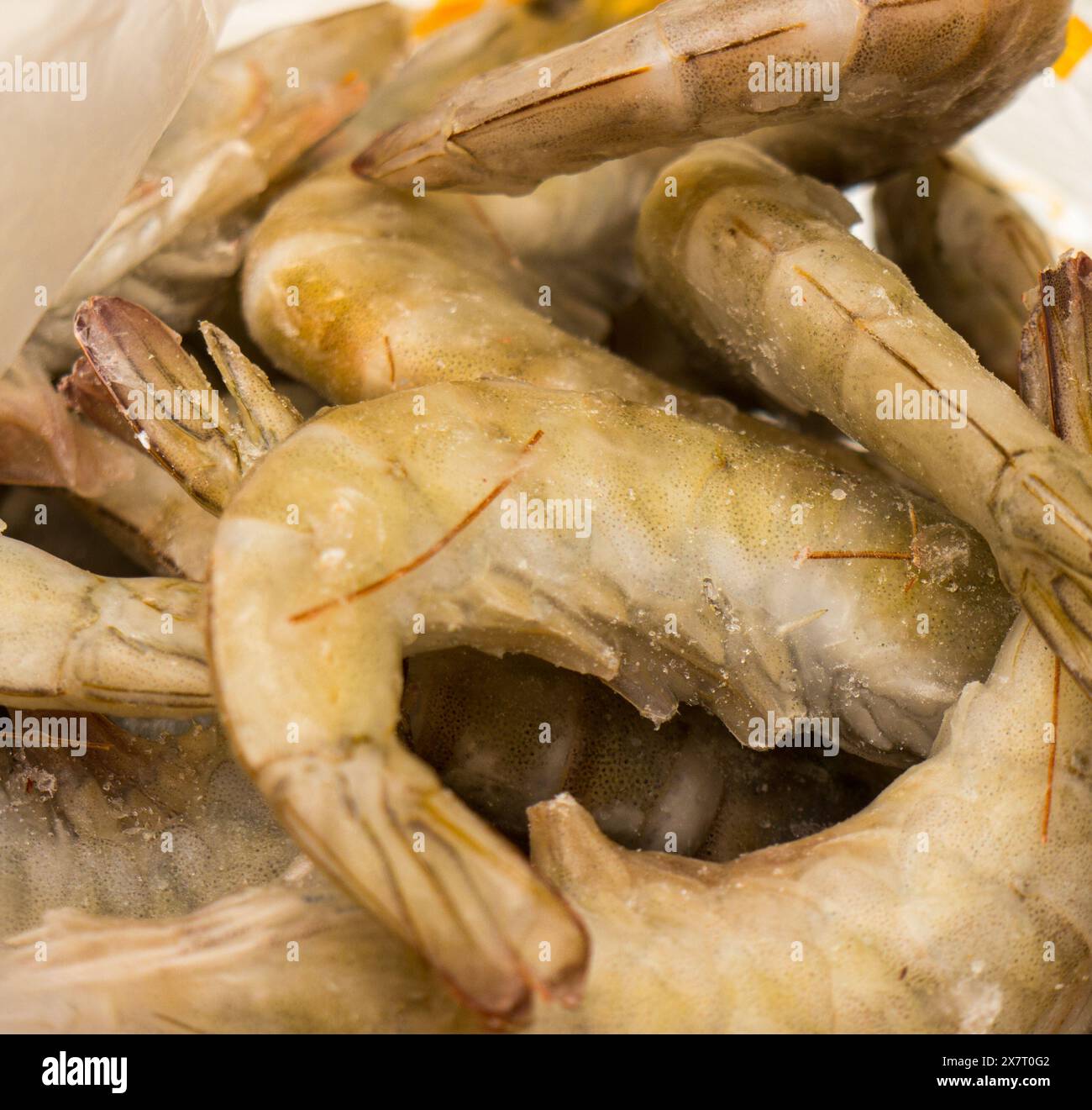 Frozen shrimp hi-res stock photography and images - Alamy