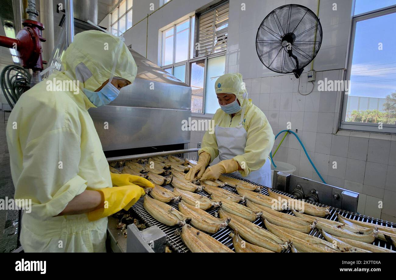 Ecological mariculture hi-res stock photography and images - Alamy