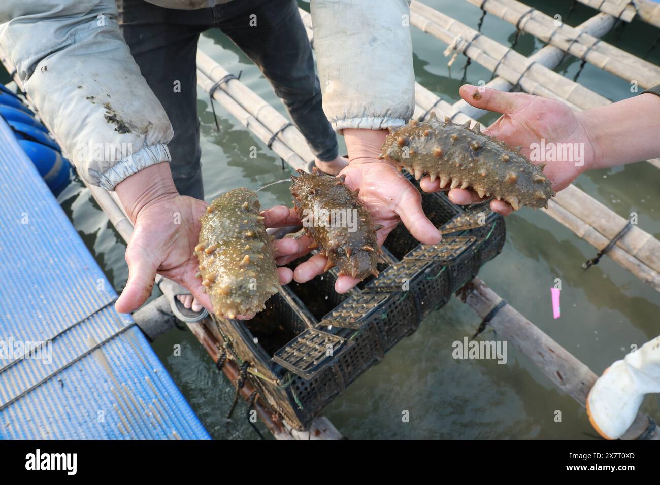 (240521) -- FUZHOU, May 21, 2024 (Xinhua) -- Fishermen check the sea ...