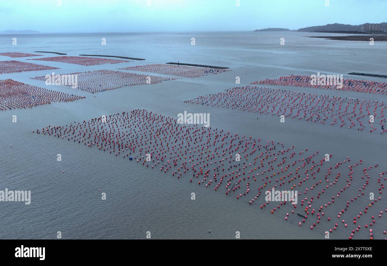 Ecological mariculture hi-res stock photography and images - Alamy