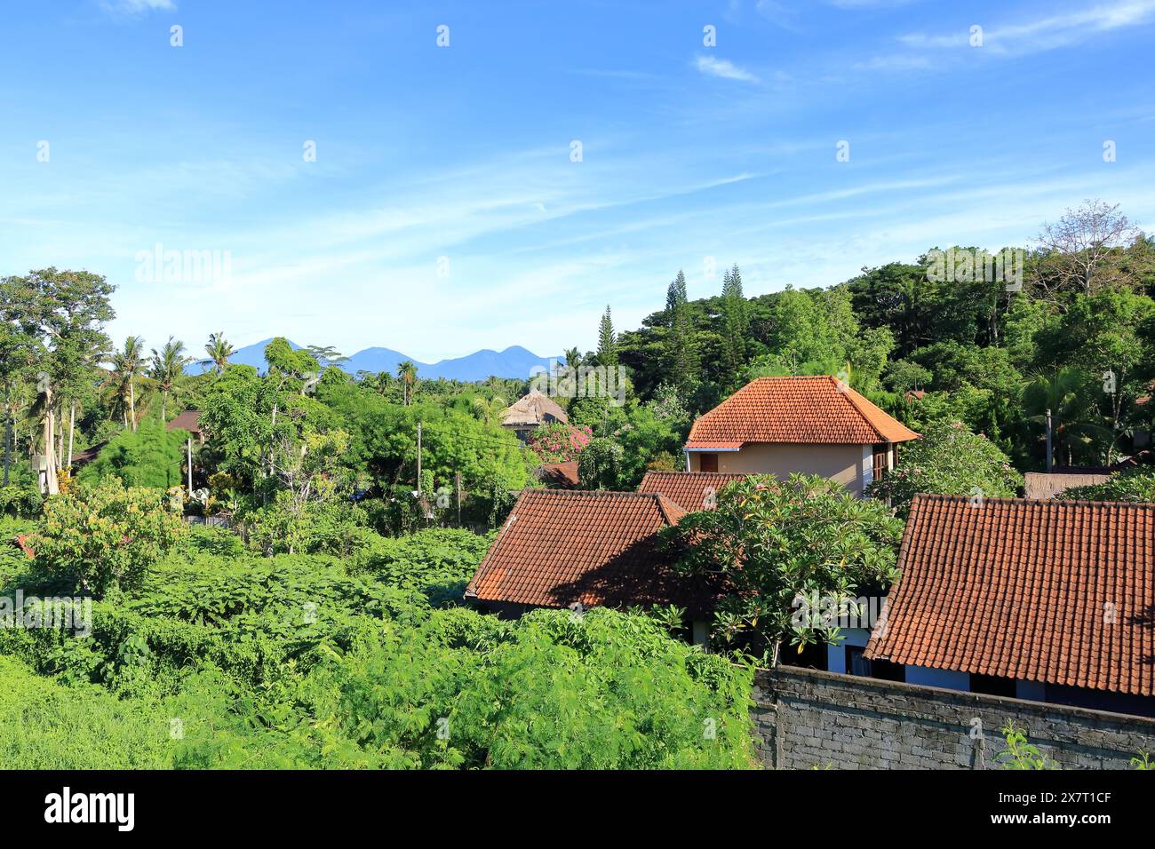 Beautiful view of Ubud city from the roof on Bali island in Indonesia ...