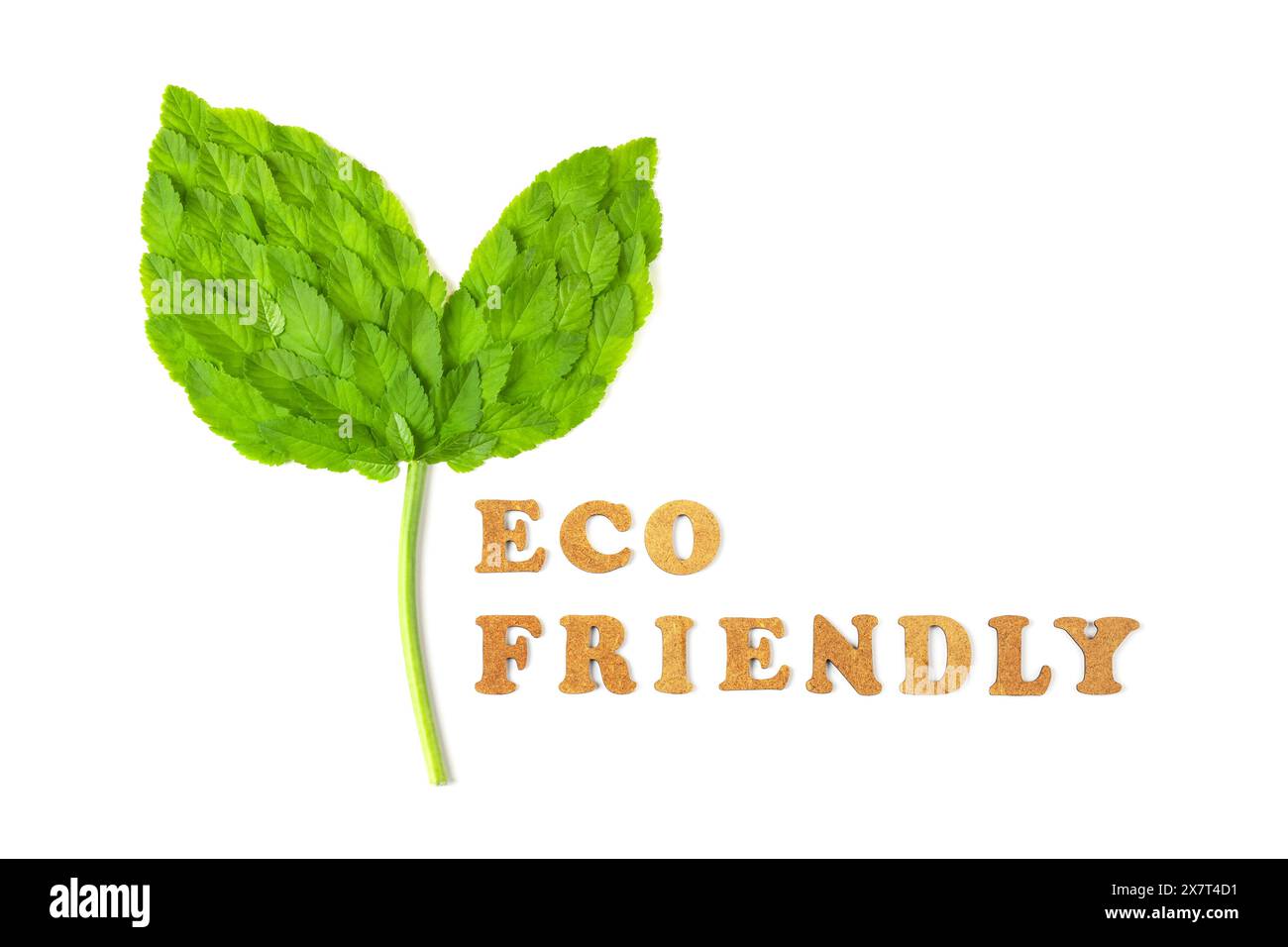 Green leaves on white background. Happy Environment day, 05 June. Beat ...