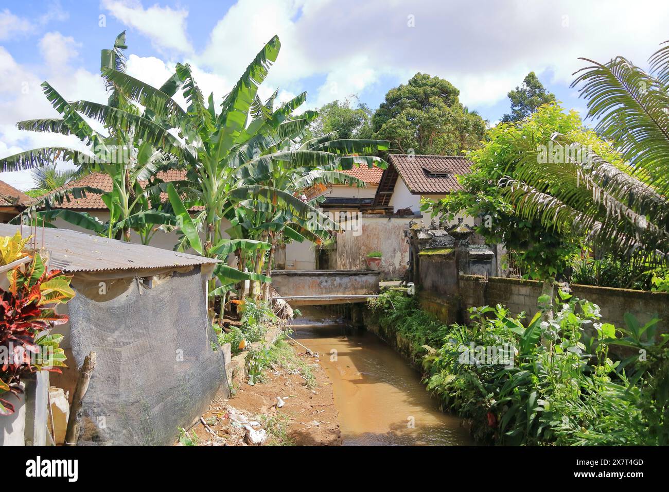 the Area around the Large Banyan ancient tree in Kayu Putih, Baru ...