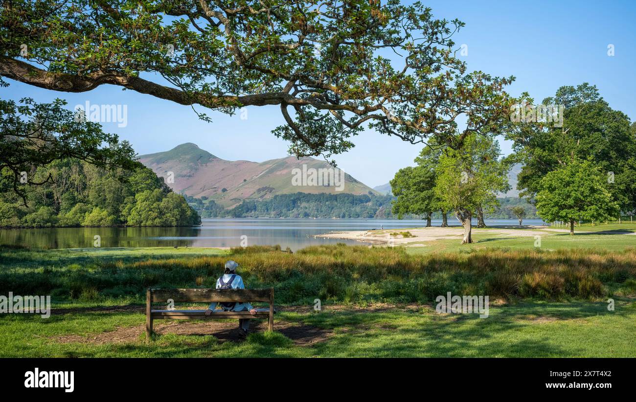 Cat Bells Fell and Derwent Water framed by Spring growth, Strandshag ...