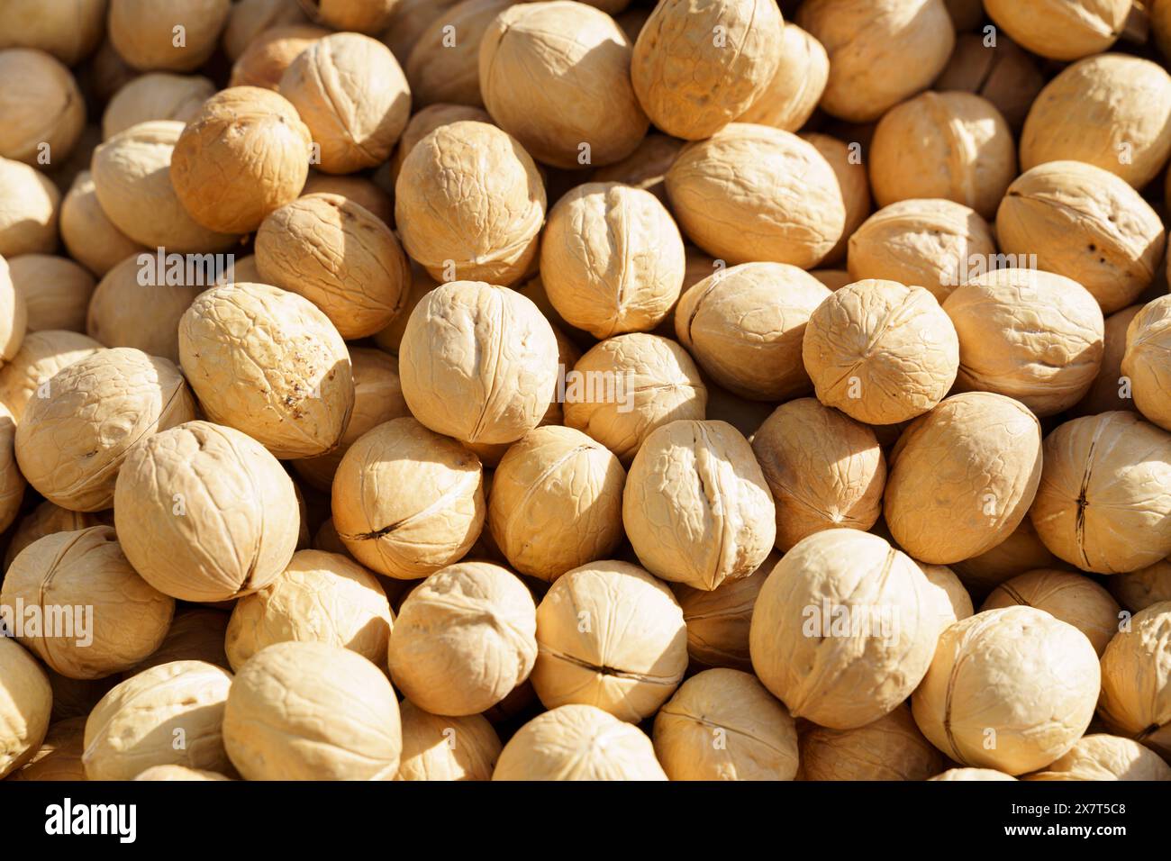 A detailed close-up of numerous walnut shells grouped together ...