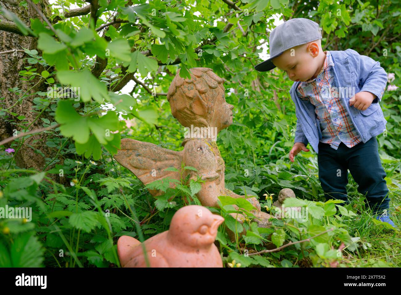 Wer sitzt denn da Der kleine Junge hat die Elfen-Figur unter dem Ginko ...