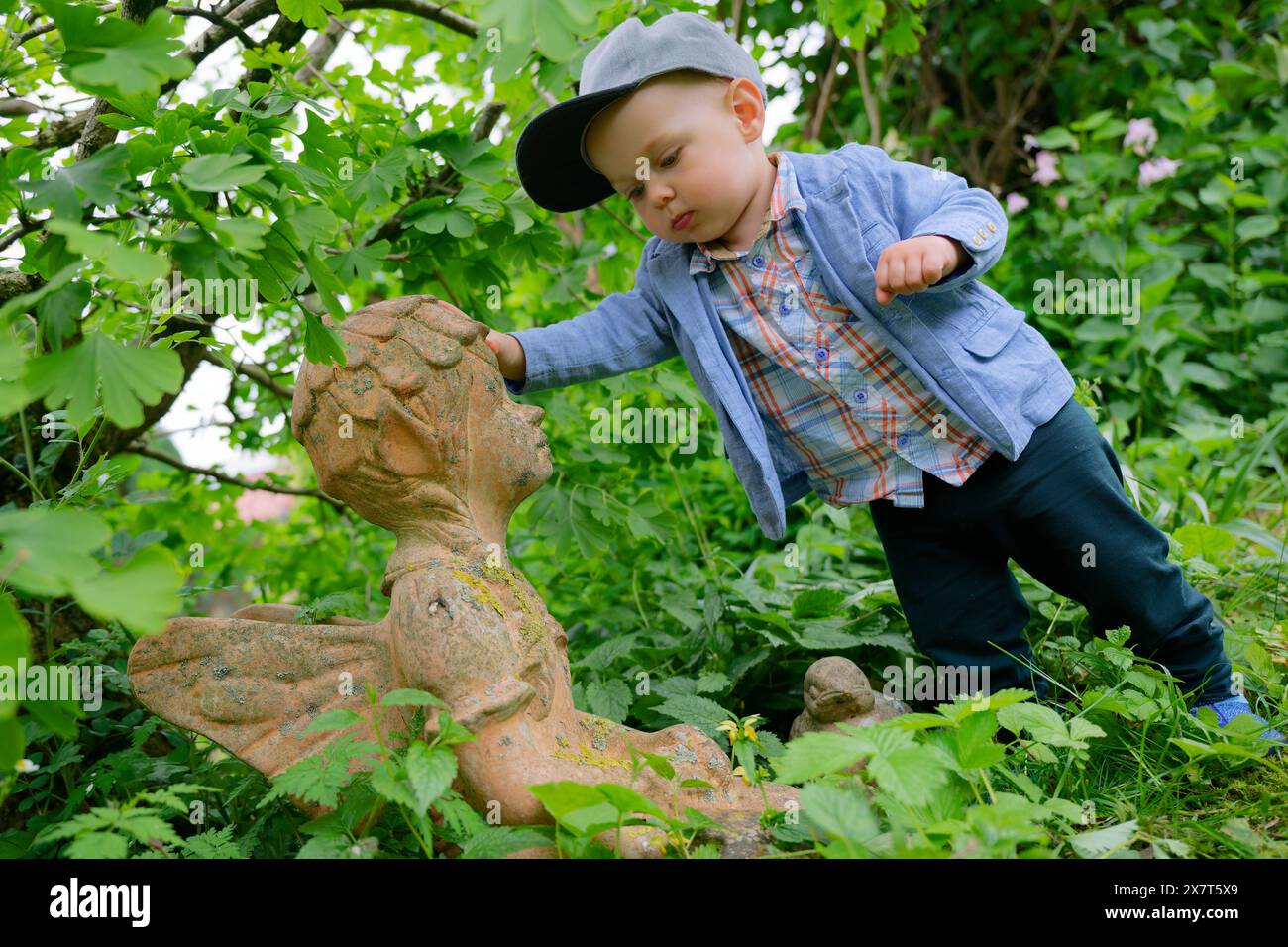Wer sitzt denn da Der kleine Junge hat die Elfen-Figur unter dem Ginko ...
