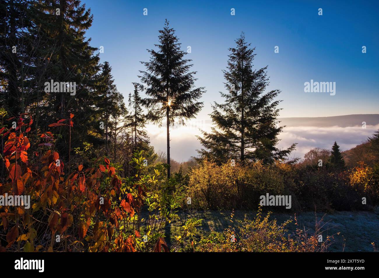 North eifel national park eifel hi-res stock photography and images - Alamy