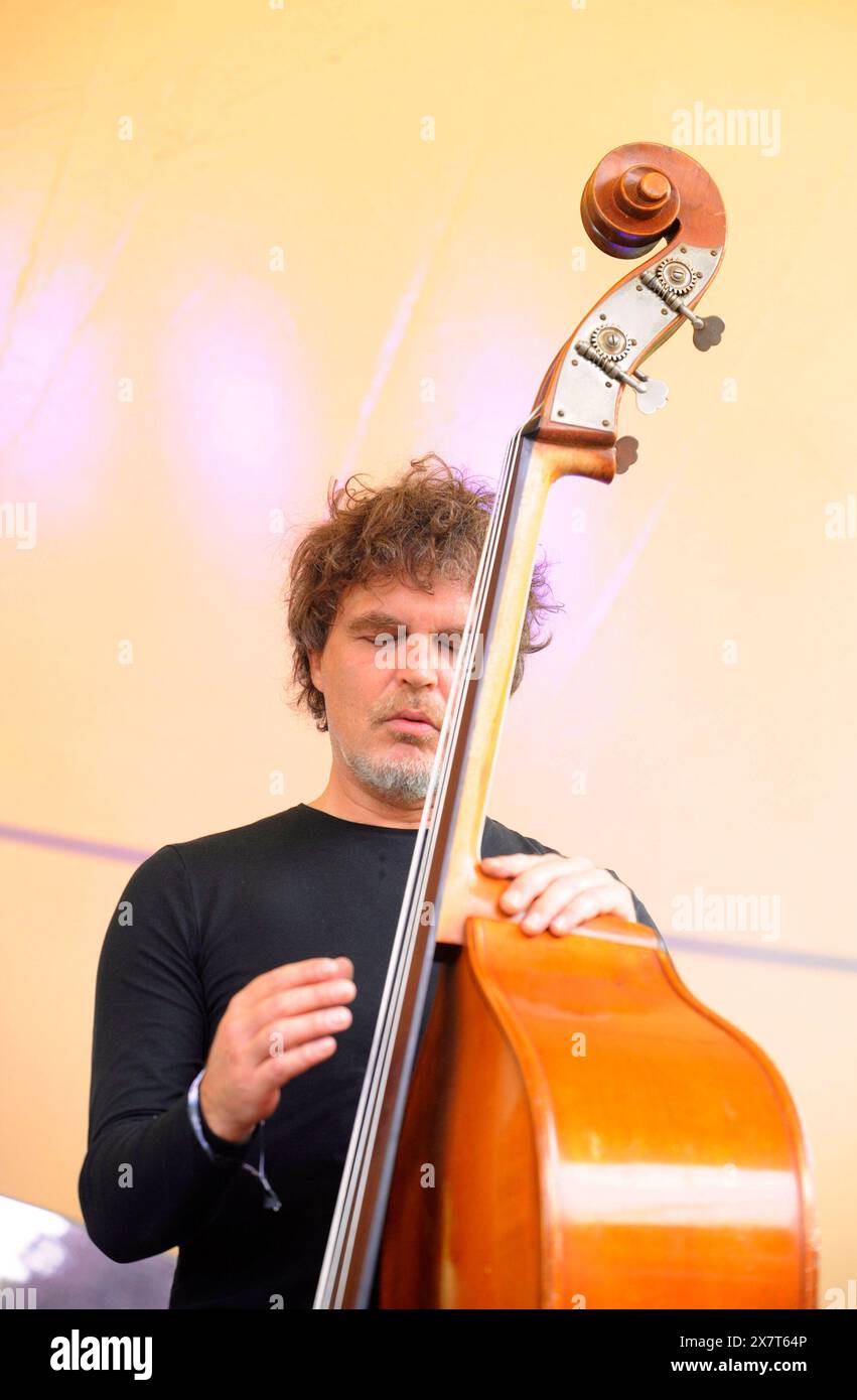 Der deutsche Jazz-Bassist Sebastian Gramss beim 53. Moers Festival ...