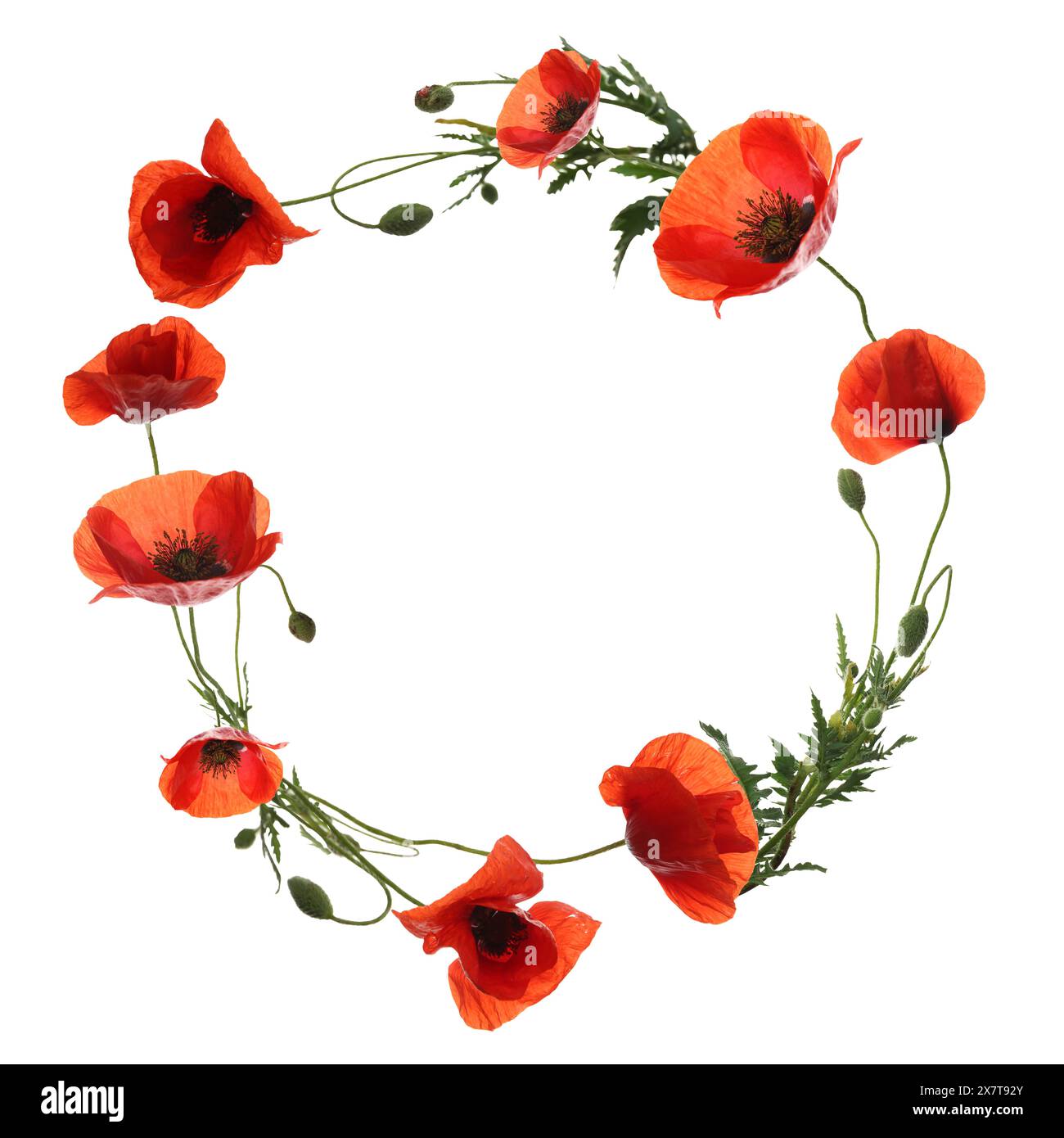 Round wreath field flowers Cut Out Stock Images & Pictures - Alamy