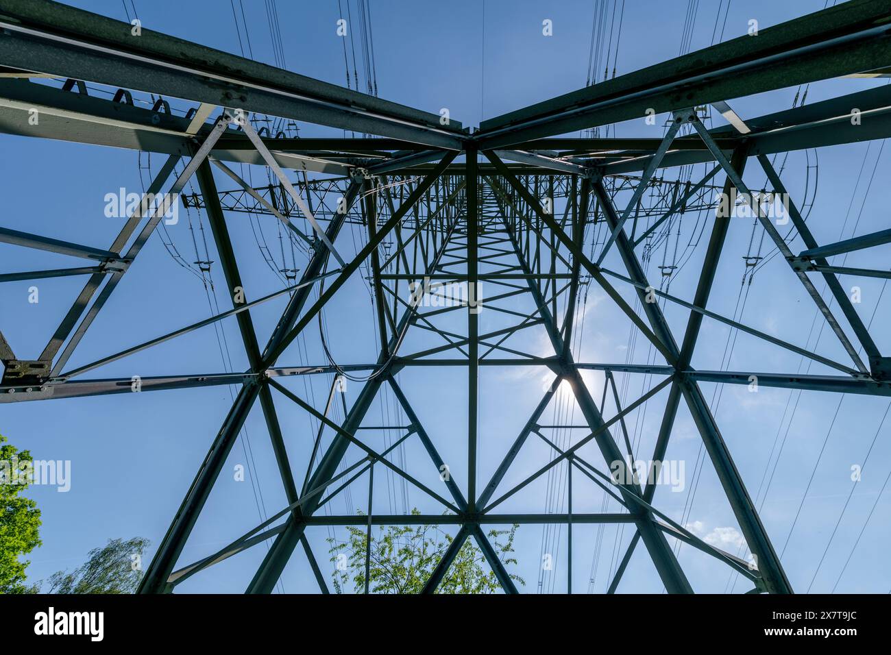 A captivating close-up shot capturing the geometric patterns and ...