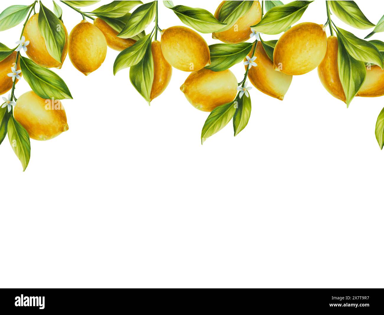 Clip art lemonade hi-res stock photography and images - Alamy