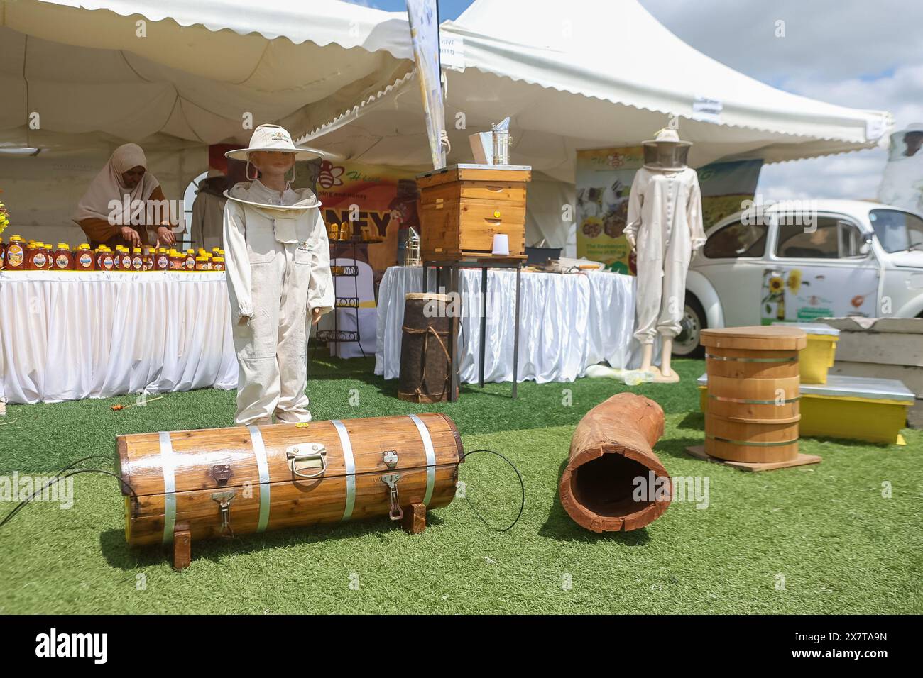 Traditional, modern hives, bee farming products and equipment on ...