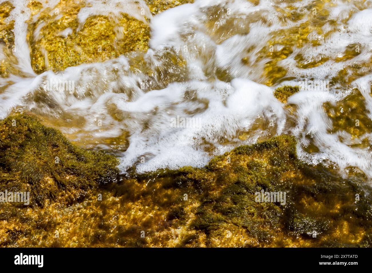 seawater flowing in the rock formation with seaweed at the coastline ...