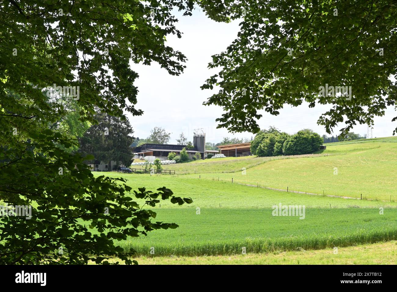 A farm behind the forest in Büschikon Stock Photo - Alamy