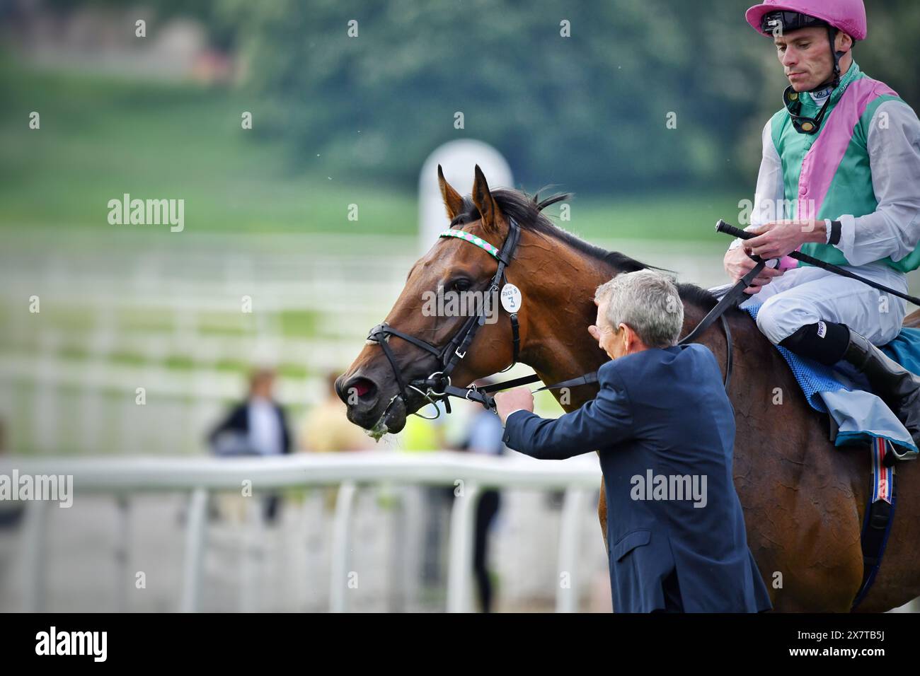 Shoemark hi-res stock photography and images - Alamy