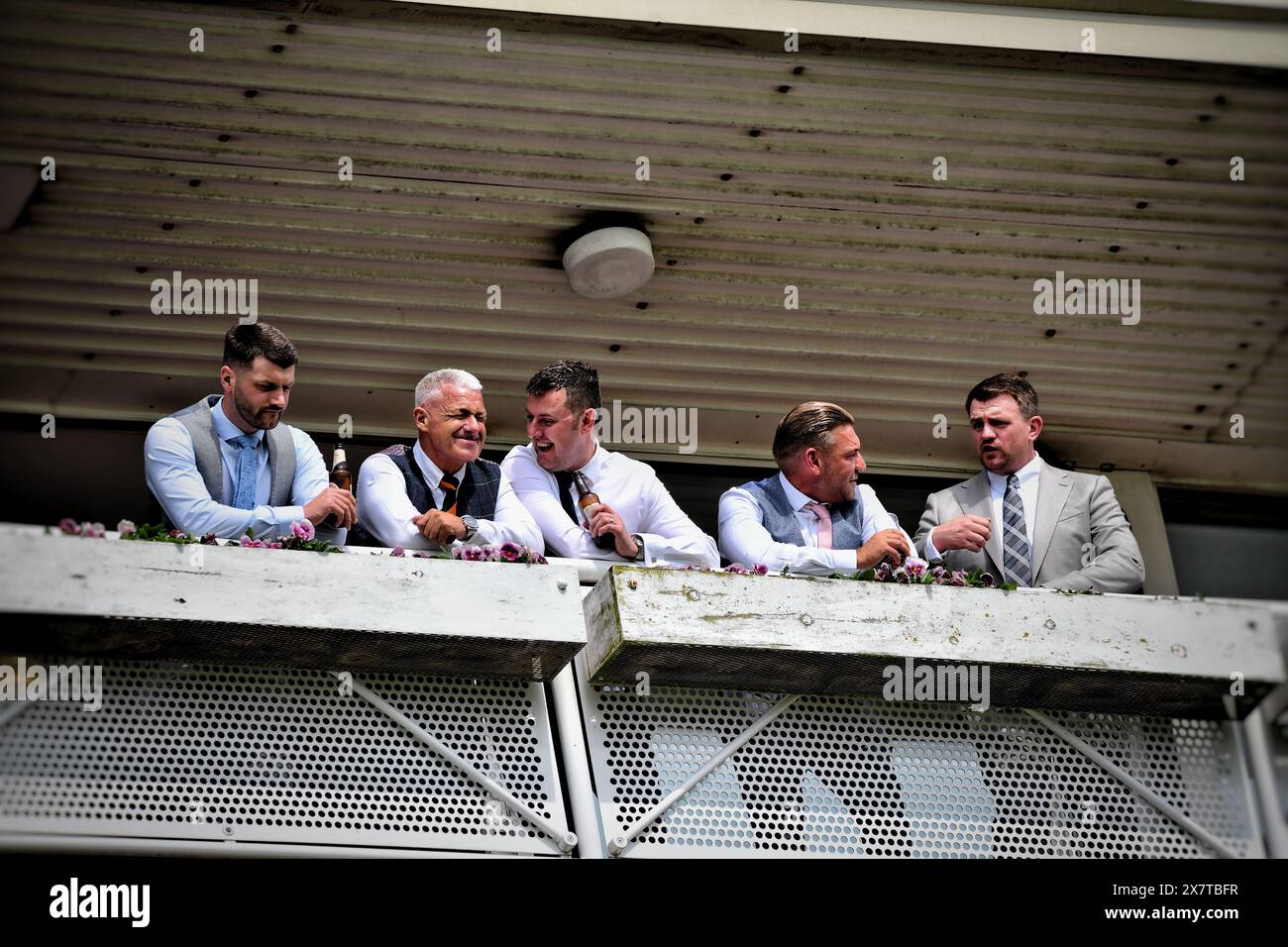 York Races Dante Festival 2024 Stock Photo - Alamy