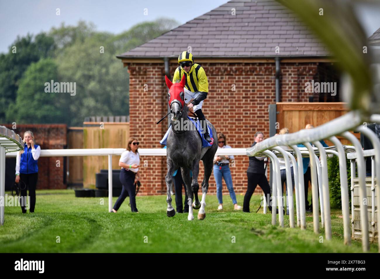 horse TRUE CYAN and jockey JAMES DOYLE Stock Photo - Alamy