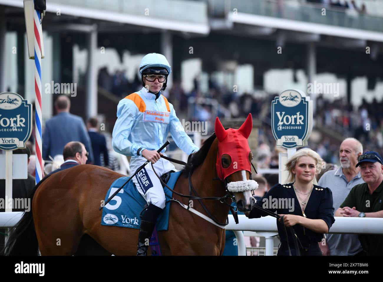 horse GLORIOUS KITTY and jockey BILLY GARRITTY Stock Photo - Alamy