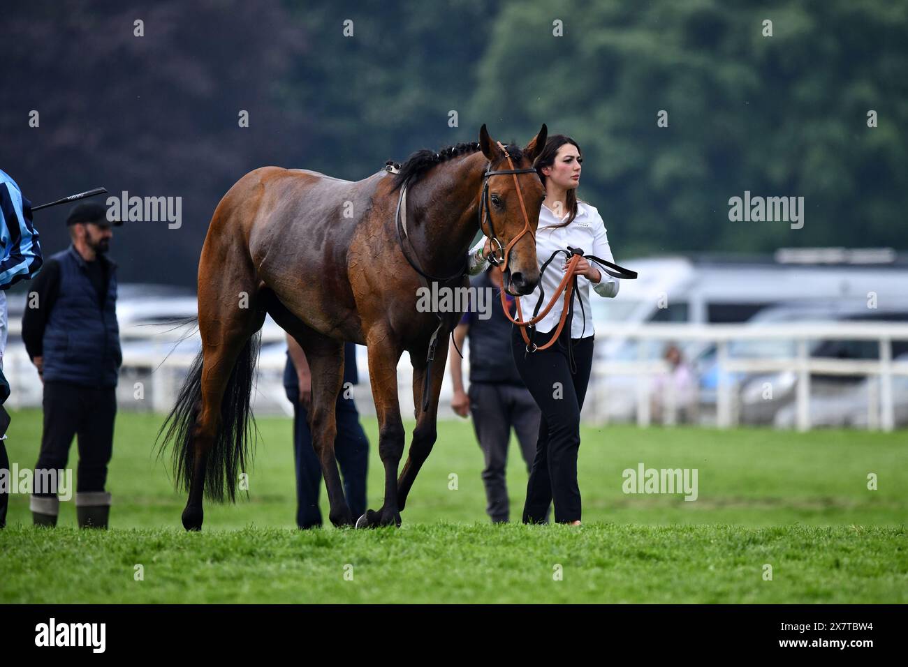 Sybaris hi-res stock photography and images - Alamy