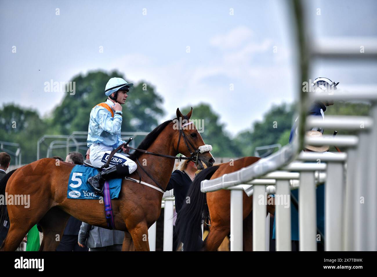 horse GLORIOUS KITTY and BILLY GARRITTY Stock Photo - Alamy