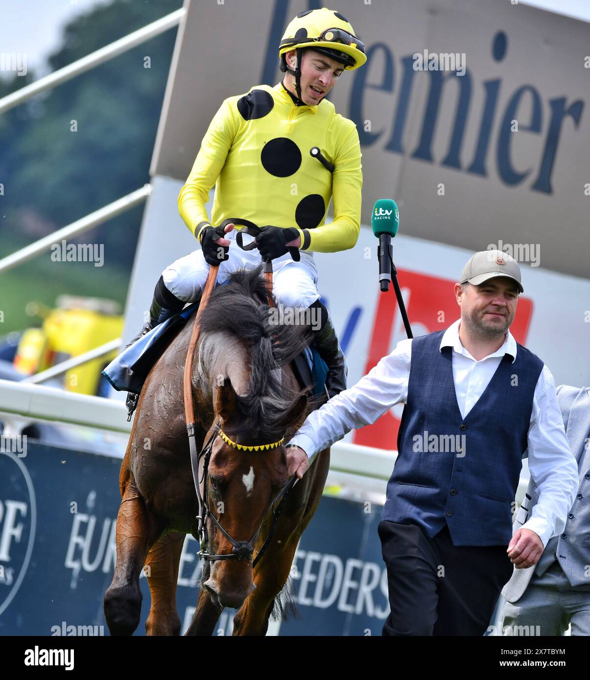 horse BOTANICAL and jockey JAMES DOYLE Stock Photo - Alamy