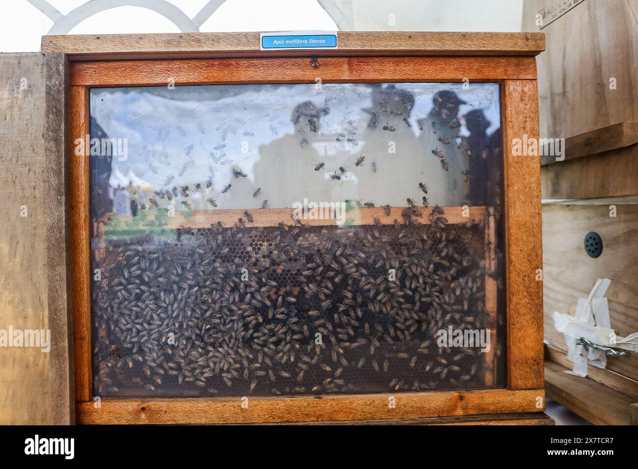 May 19, 2024, Nairobi, Kenya: International Centre of Insect Physiology ...