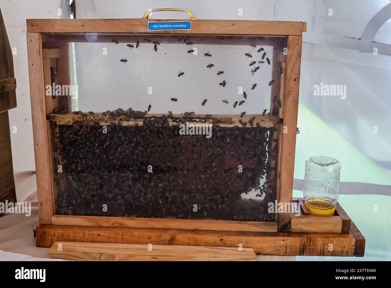 May 19, 2024, Nairobi, Kenya: International Centre of Insect Physiology ...