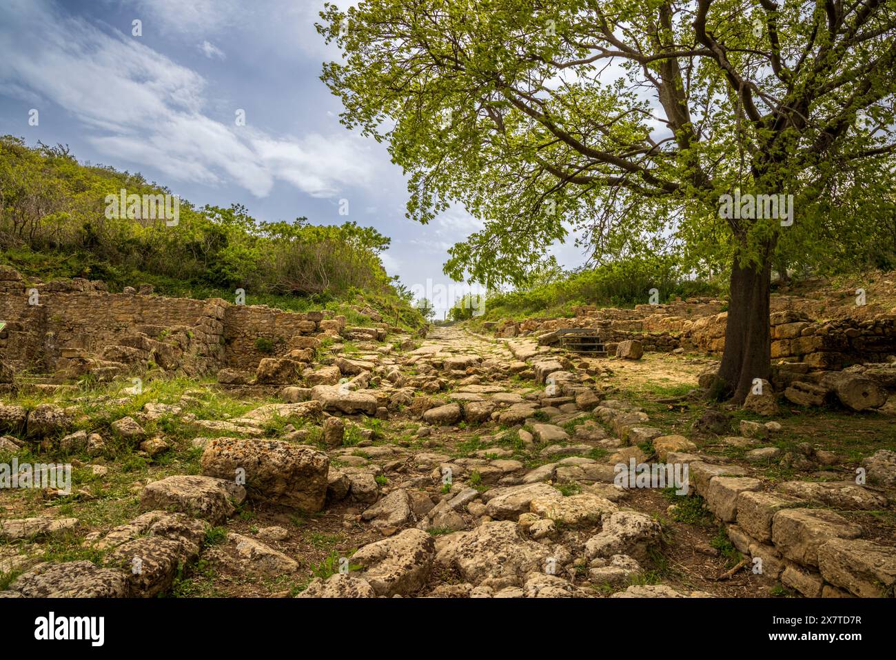 The Plateia A paved street leading through the Ancient Greek settlement ...