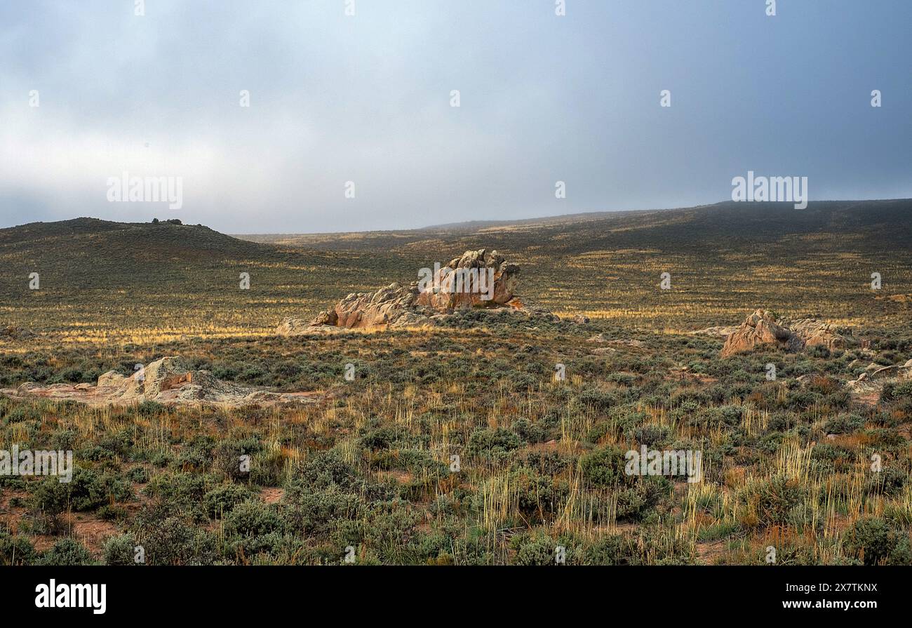 May 21, 2024: The early light of dawn brings an engaging stillness to ...