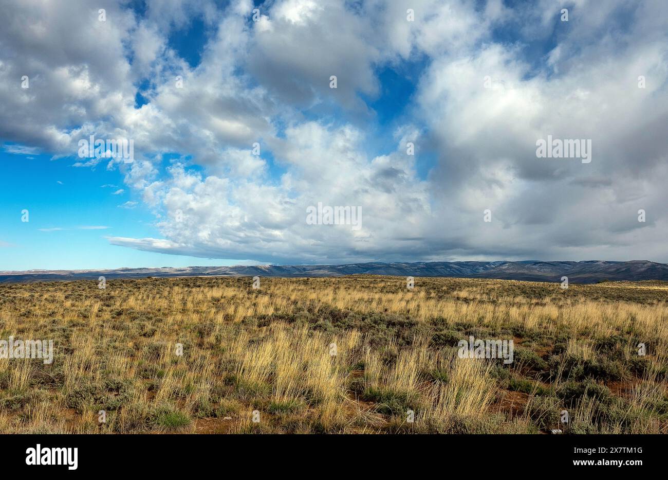 May 21, 2024: Dramatic early morning clouds mount over the high desert ...