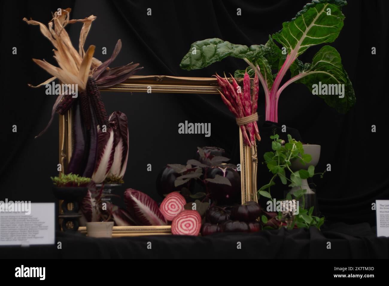 London, UK. 20th May, 2024. The She Grows Veg display of vegetables on ...