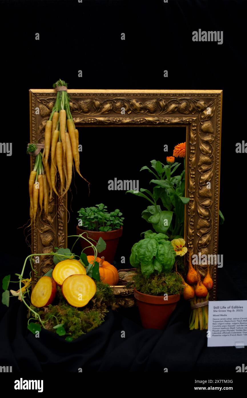 London, UK. 20th May, 2024. The She Grows Veg display of vegetables on ...